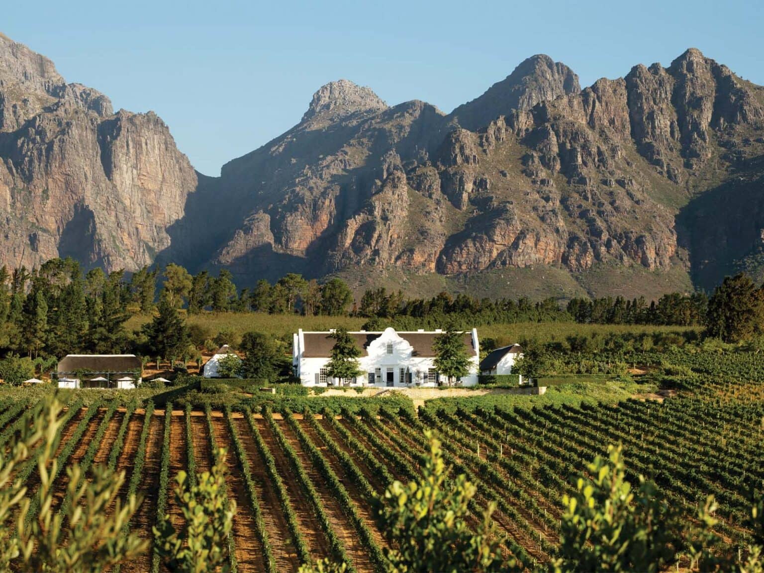 Award-Winning Summer Wines from the Cape - Private Edition